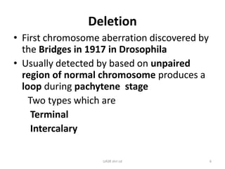 Structural chromosome aberrations | PPTX
