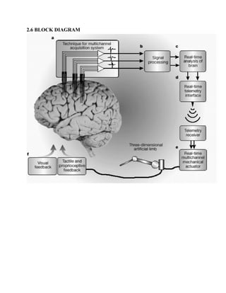 Brain Machine Interface | PDF