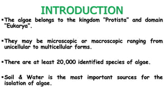 Shrihith's ppt on isolation of algae from soil & water | PPTX