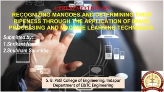 Introduction to mango recognition and ripeness determination Shrikant Navale.pptx | Agriculture ...