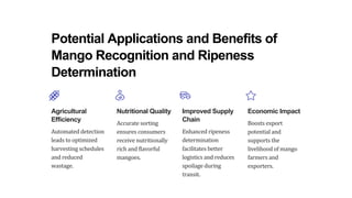 Introduction to mango recognition and ripeness determination Shrikant Navale.pptx | Agriculture ...