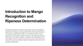 Introduction to mango recognition and ripeness determination Shrikant Navale.pptx | Agriculture ...