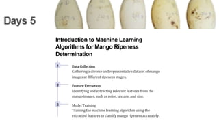 Introduction to mango recognition and ripeness determination Shrikant Navale.pptx | Agriculture ...