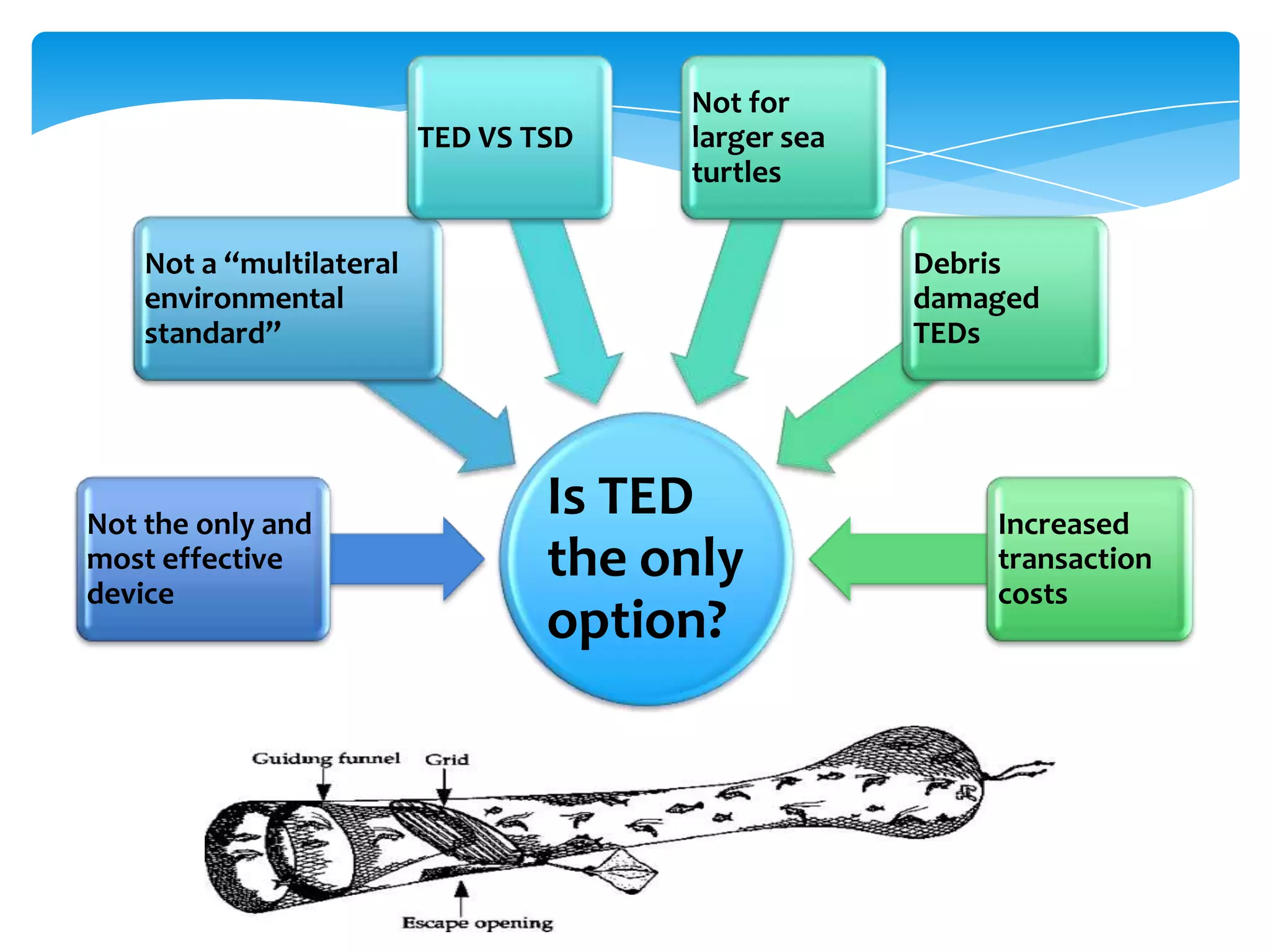 Shrimp - Turtle case at WTO | PPTX