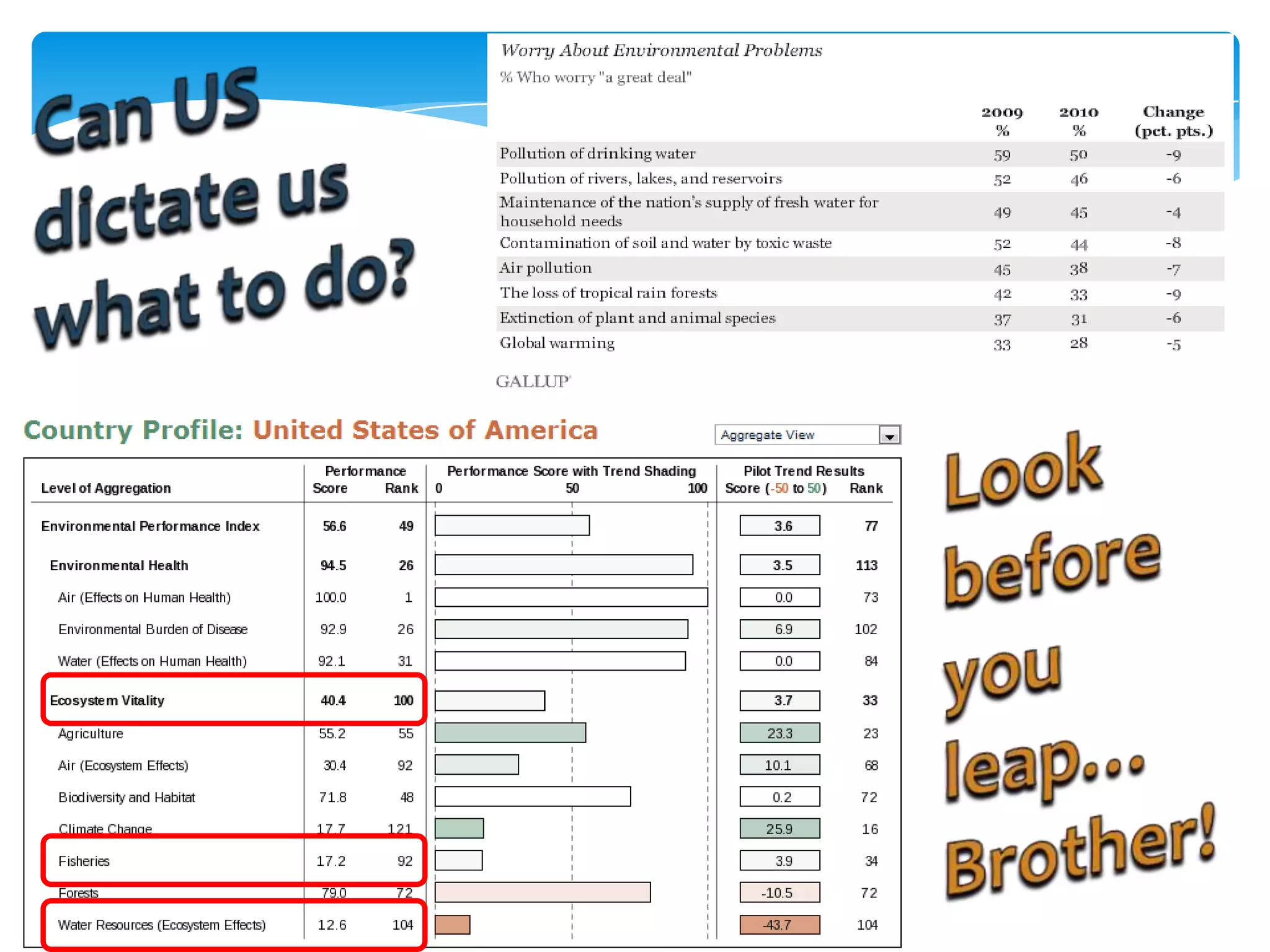 Shrimp - Turtle case at WTO | PPTX