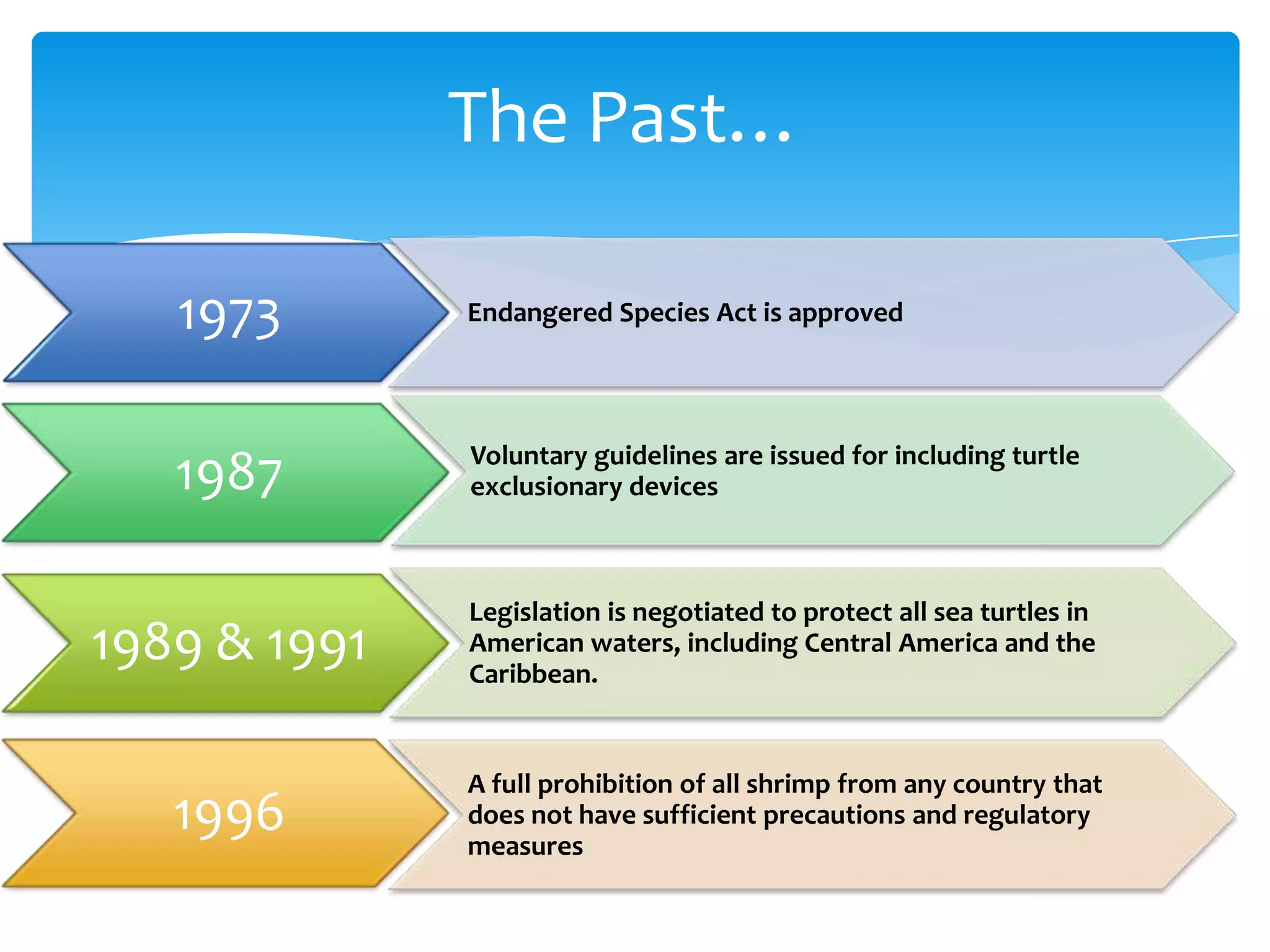 Shrimp - Turtle case at WTO | PPTX