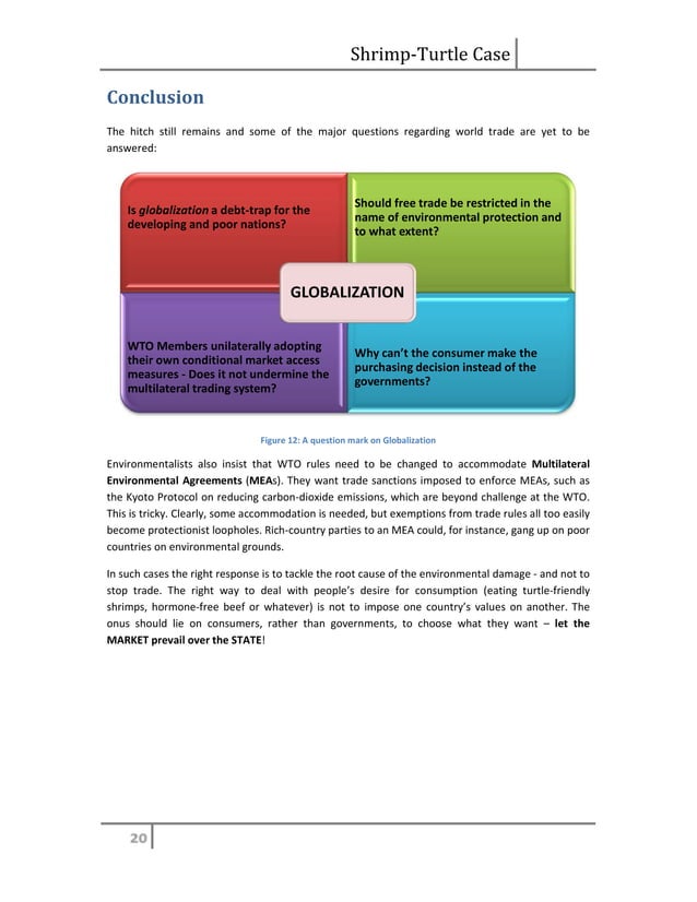 Shrimp turtle case at WTO | PDF | Zoos & Aquariums | Attractions