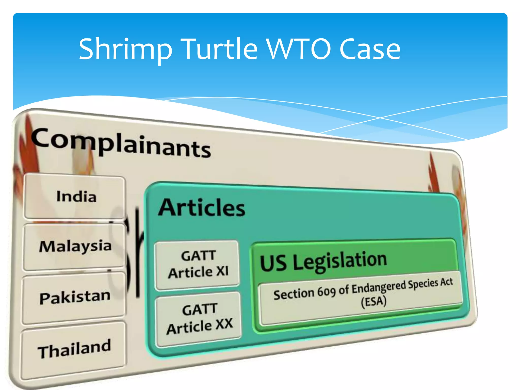 Shrimp turtle case | PPTX