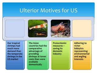 Shrimp turtle case | PPTX