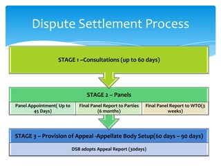 Shrimp turtle case | PPTX