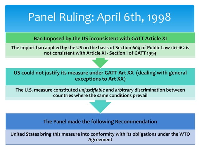 Shrimp turtle case | PPTX