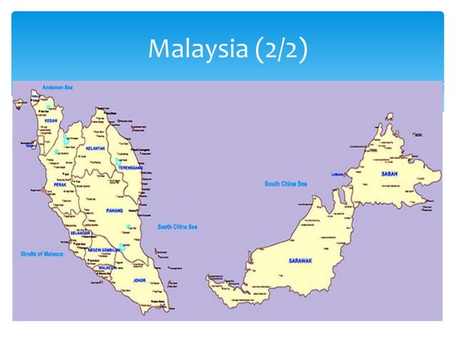 Shrimp turtle case | PPTX