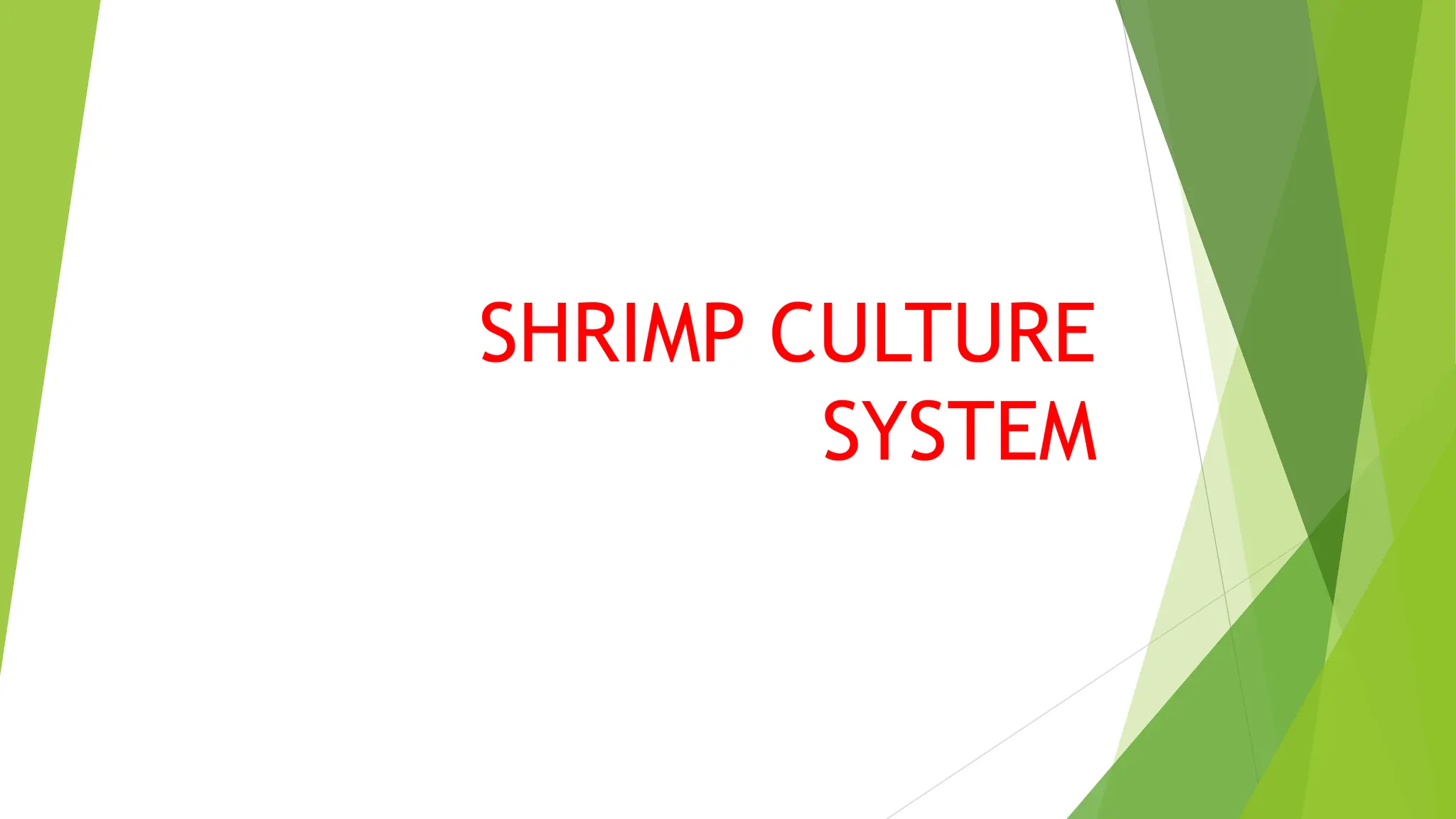 SHRIMP CULTURE SYSTEM A introduction to new world | PPTX
