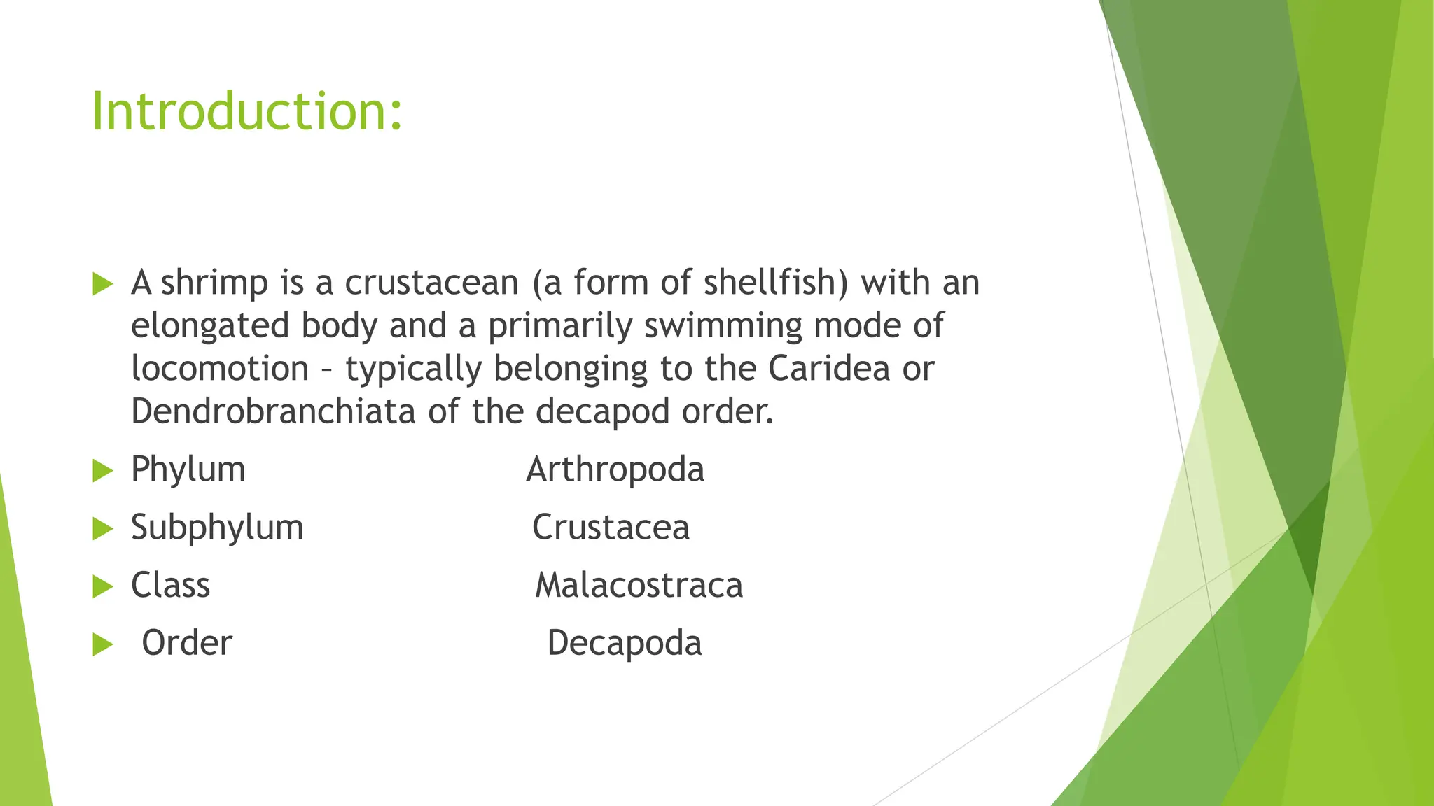 SHRIMP CULTURE SYSTEM A introduction to new world | PPTX