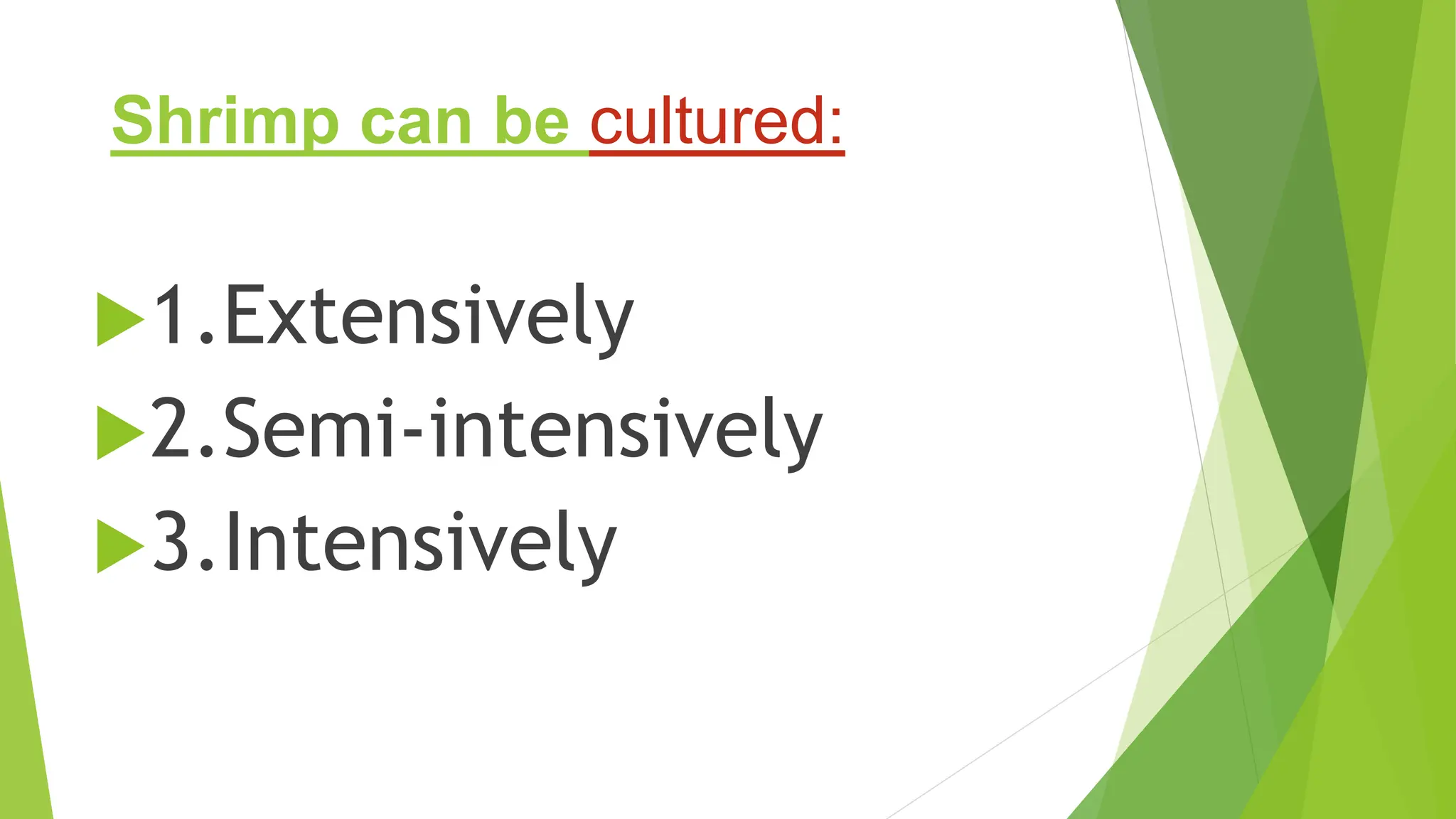 SHRIMP CULTURE SYSTEM A introduction to new world | PPTX