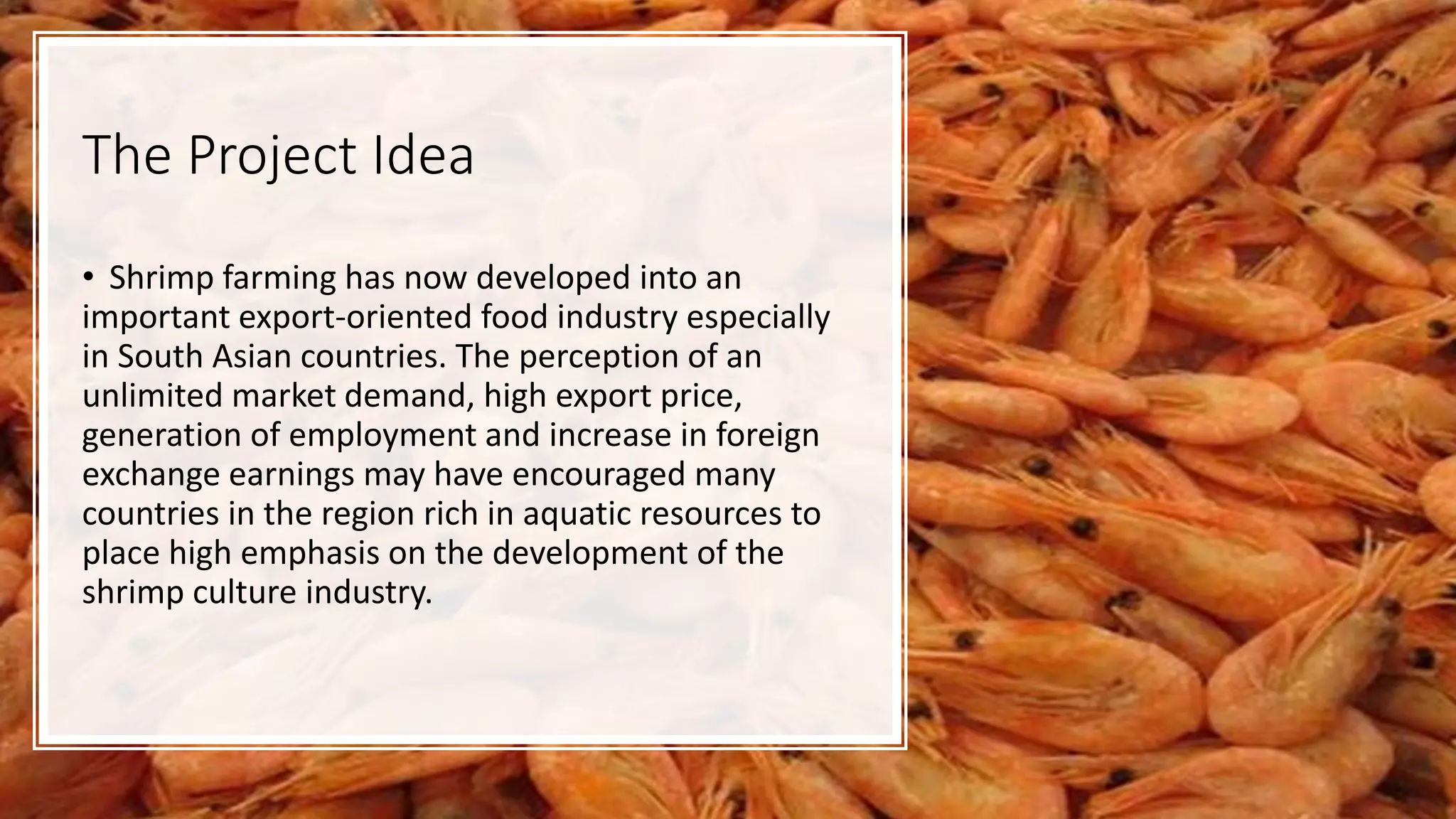 Shrimp Farm Project Report | PDF