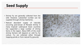 Shrimp Farm Project Report | PDF