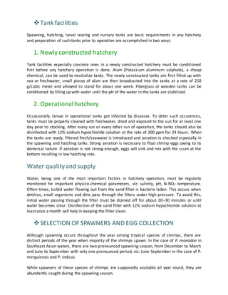 Shrimp hatchery | DOCX