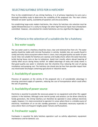 Shrimp hatchery | DOCX