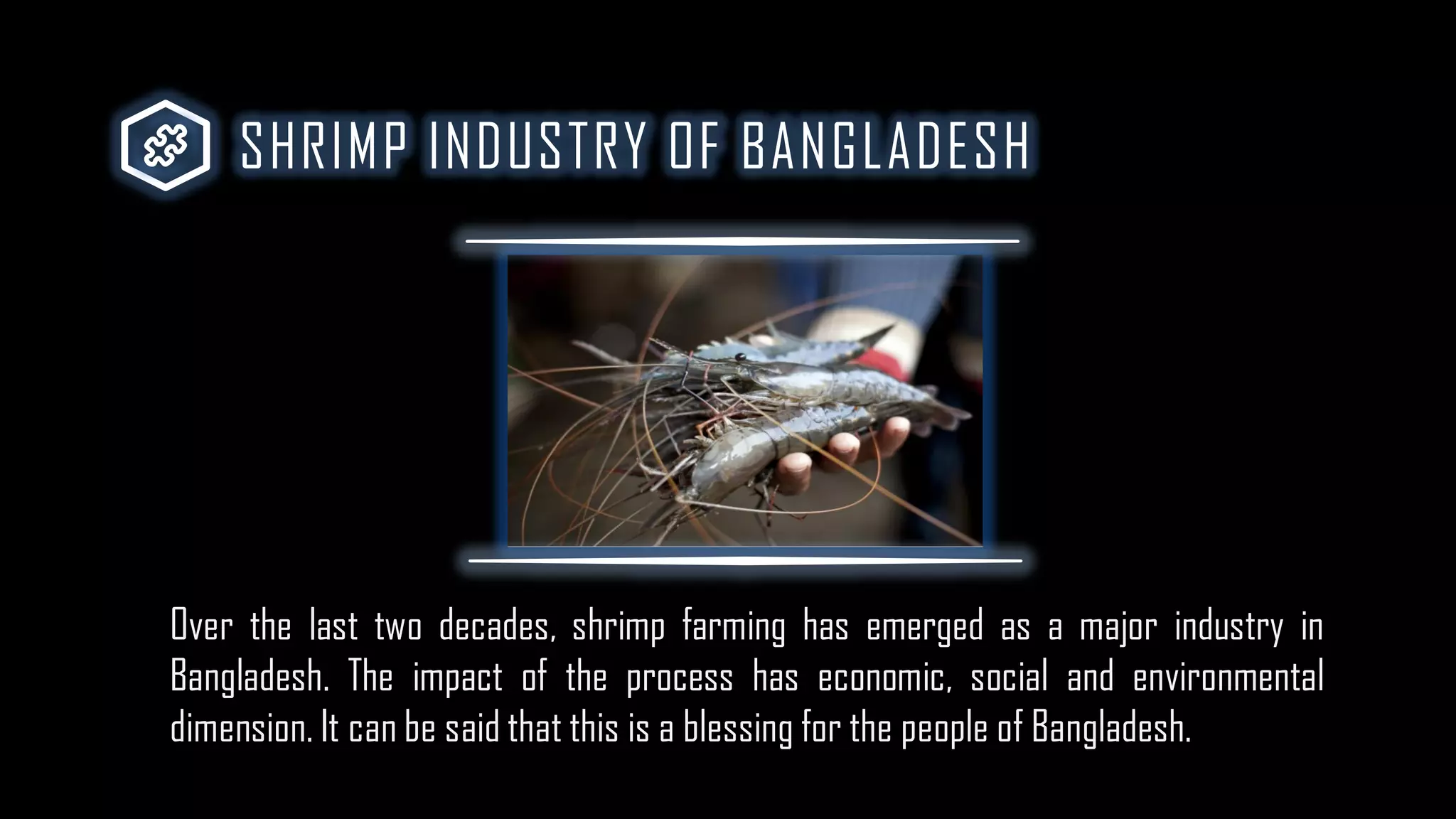 BUS 104: Shrimp Industry in Bangladesh - An Overview | PDF