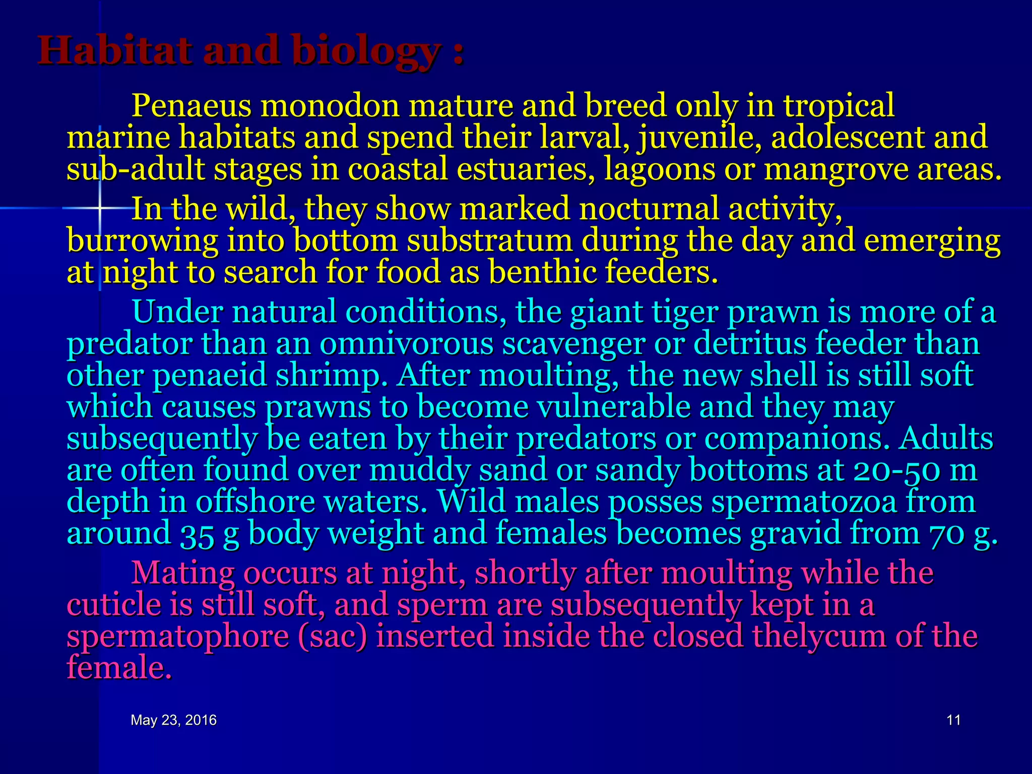 Shrimp Culture: Culture of Tiger Shrimp (Penaeus monodon) | PPT