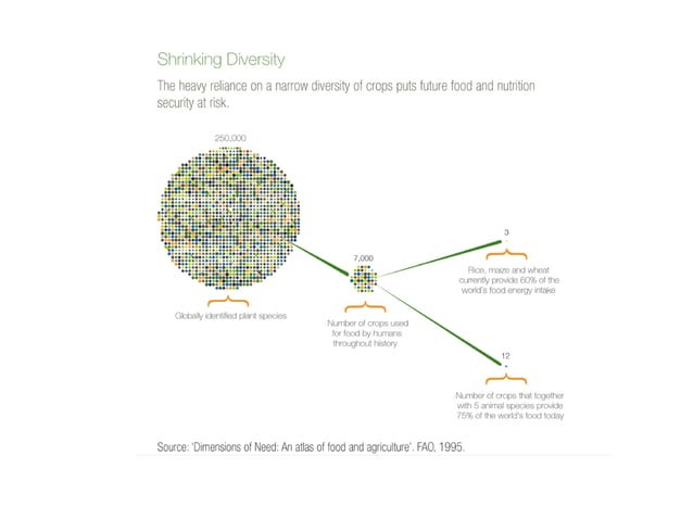 Bioversity International infographic on Shrinking Diversity | PDF