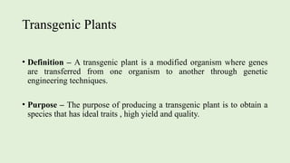 Transgenic Plants Semester II Master Of Pharmacognosy | PPTX