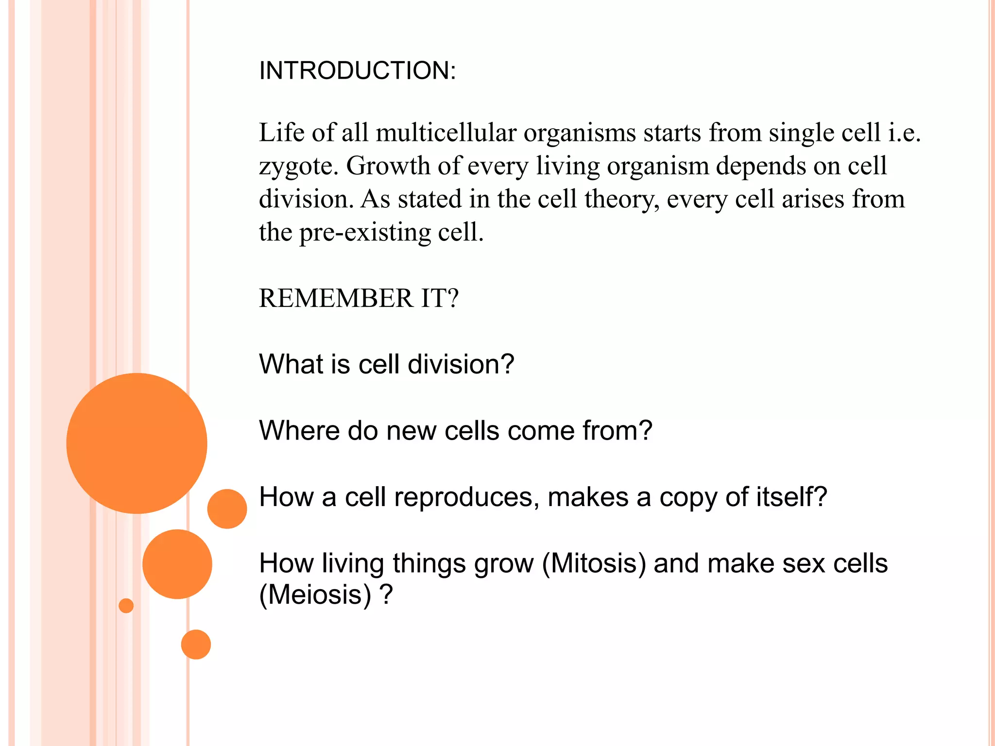 cell Division | PPT