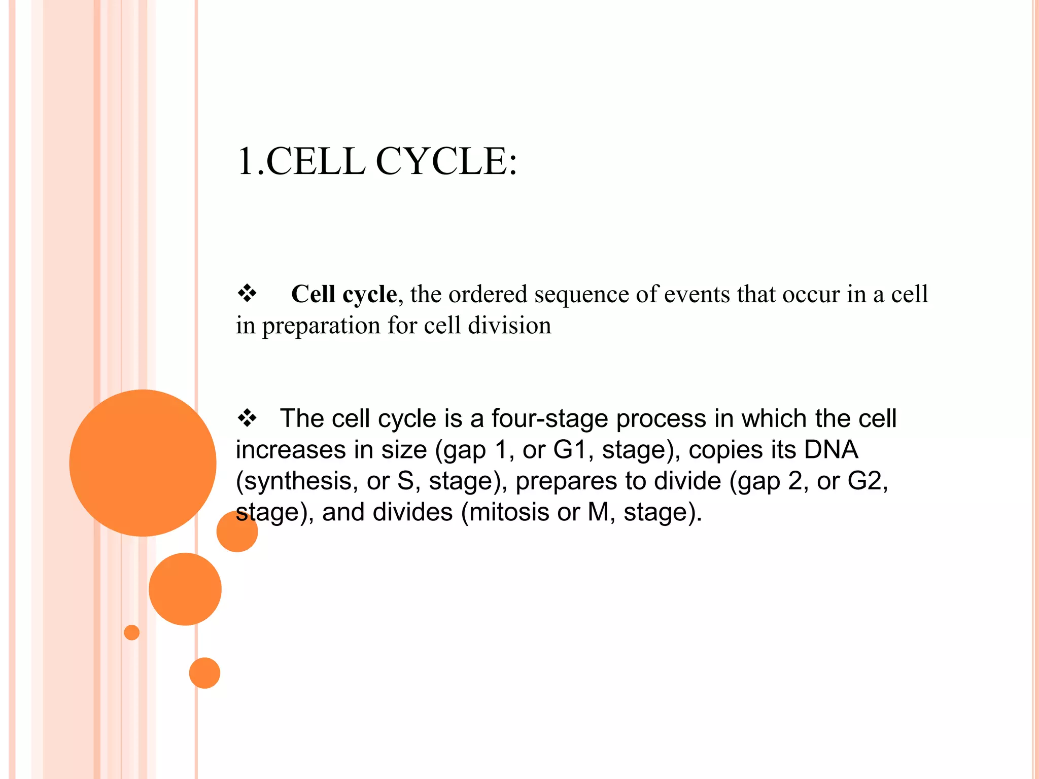 cell Division | PPT