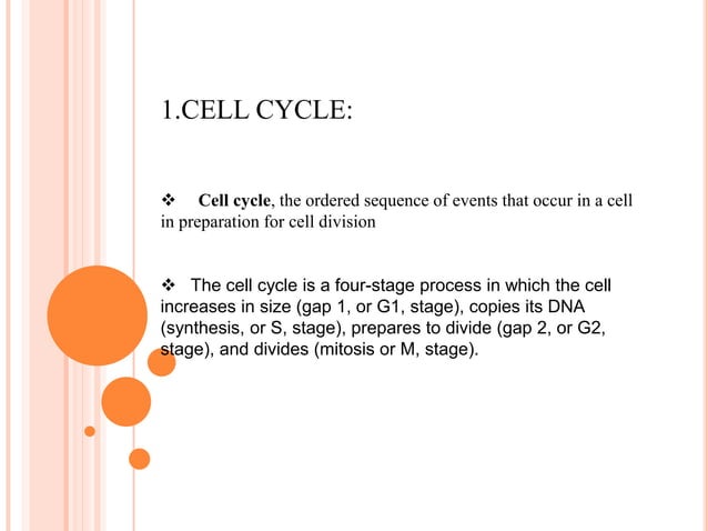 cell Division | PPT