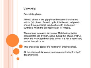 cell Division | PPTX