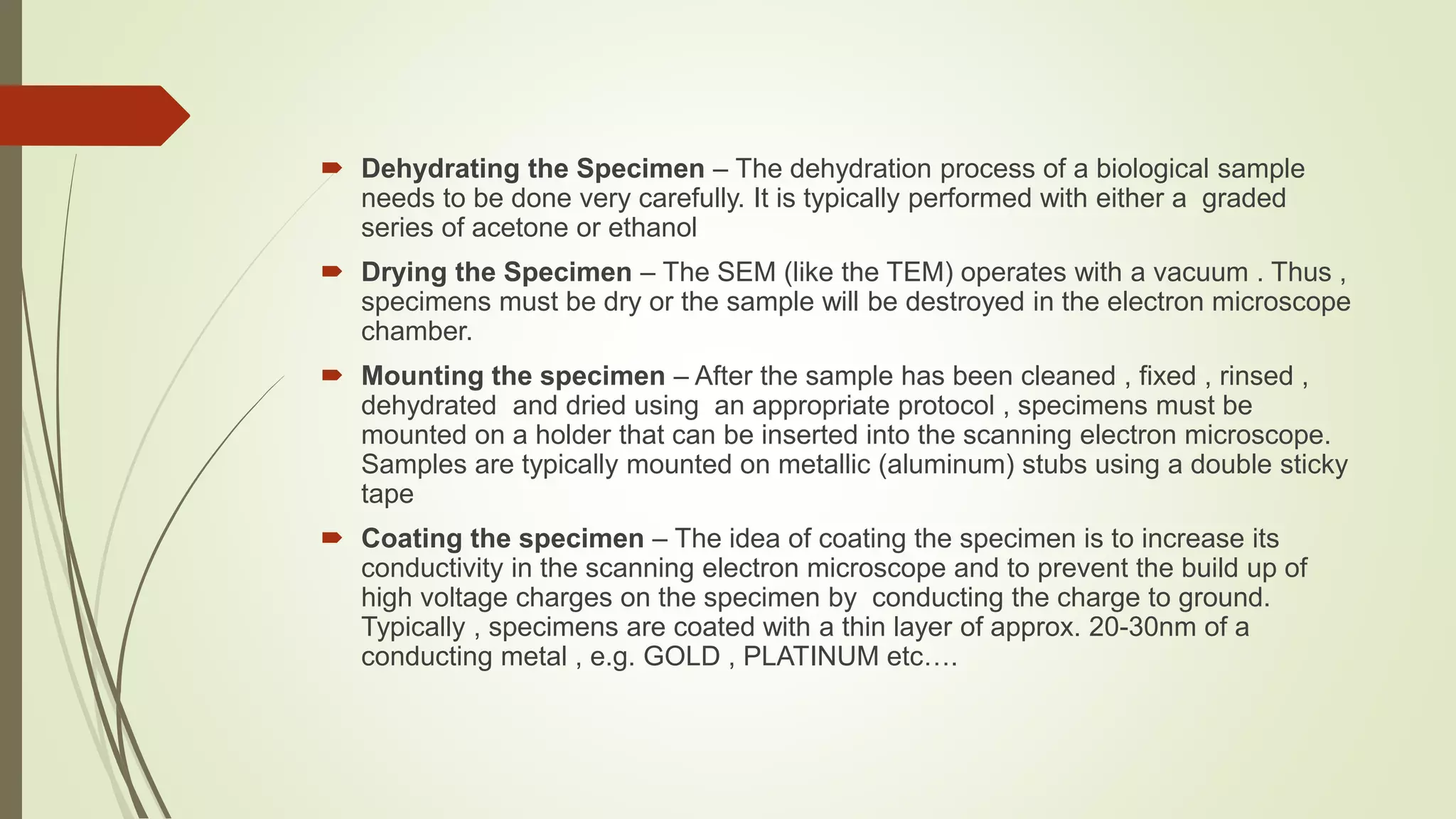 Scanning Electron Microscope | PPTX