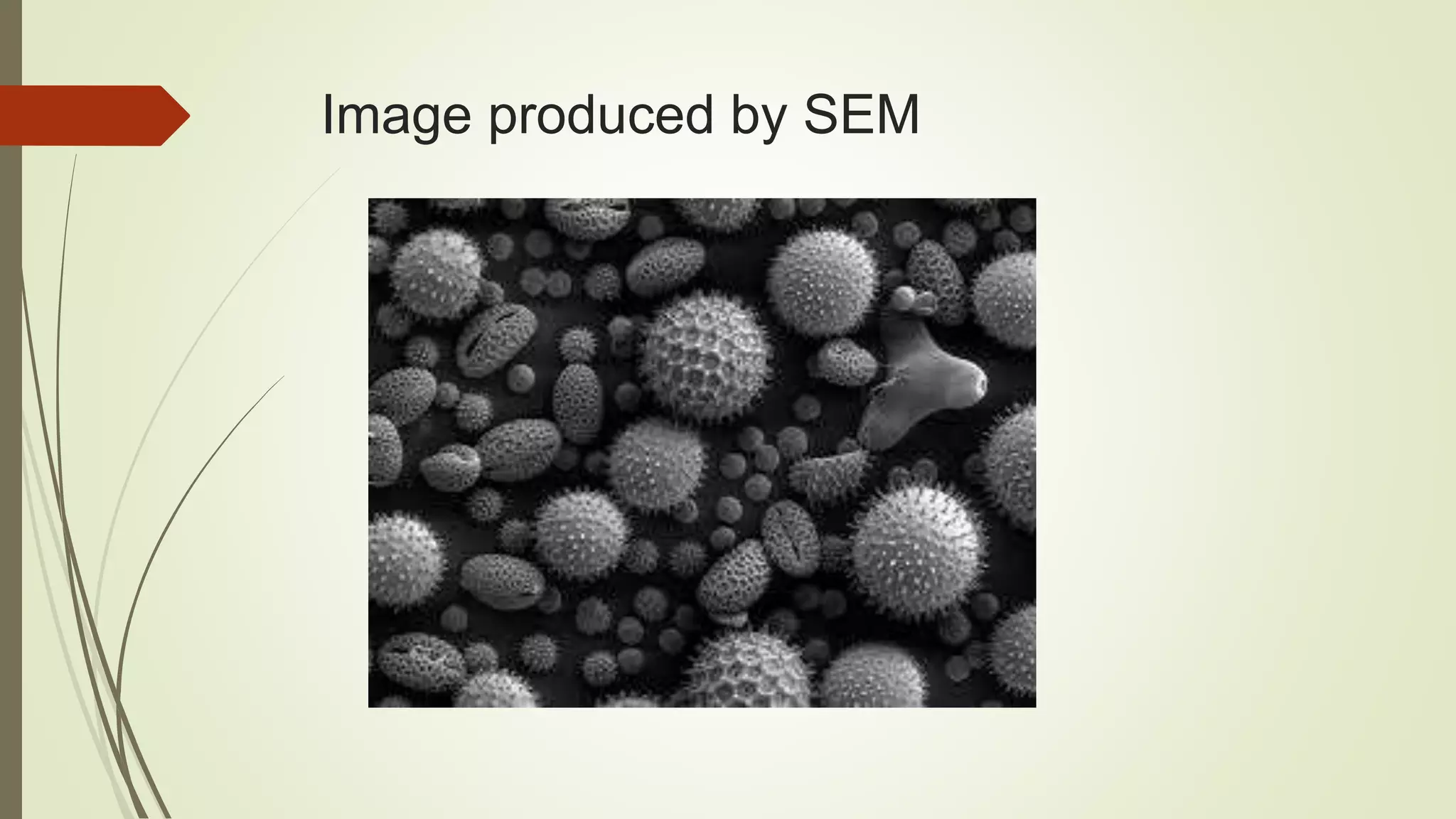 Scanning Electron Microscope | PPTX