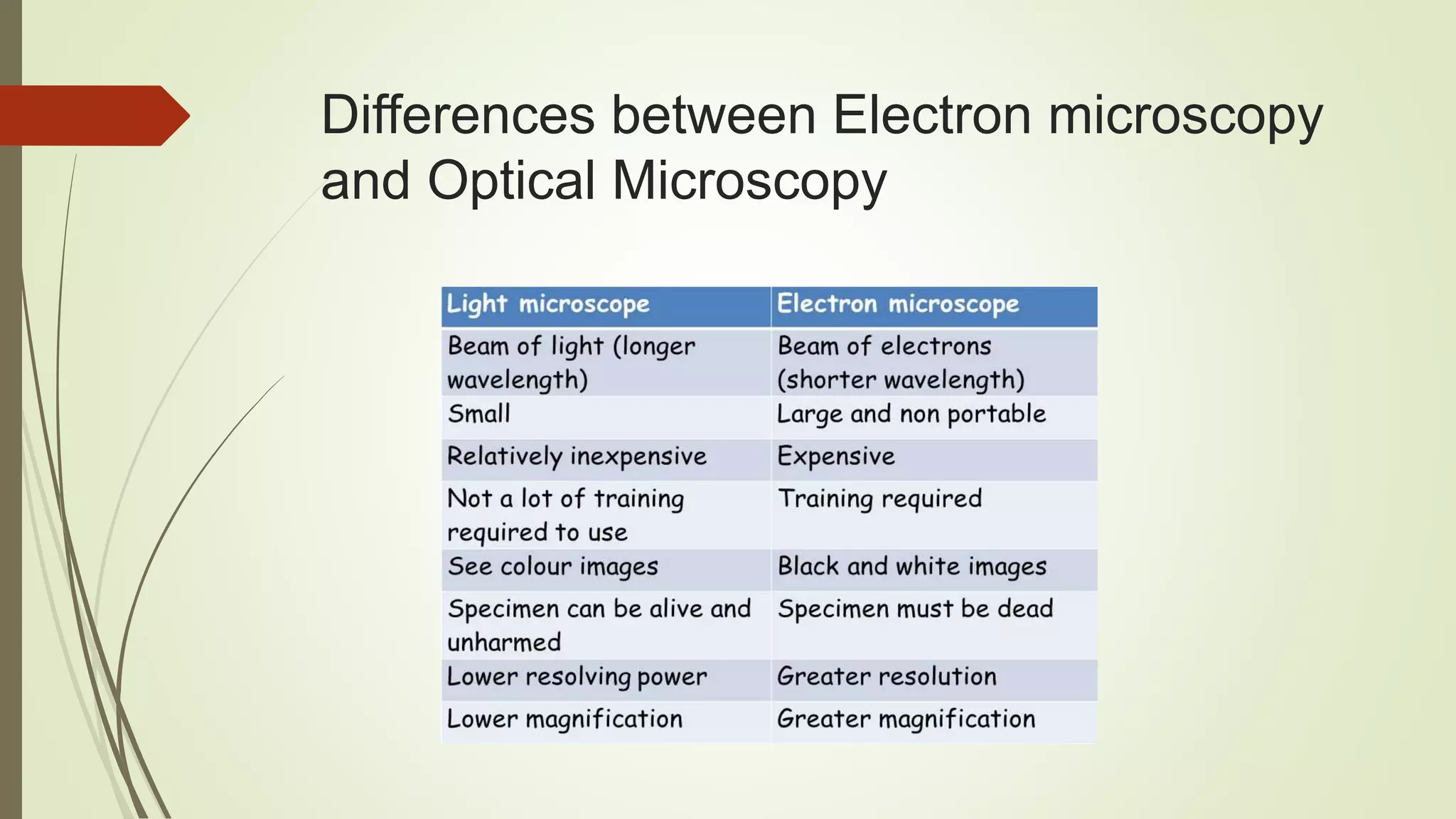 Scanning Electron Microscope | PPTX