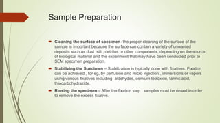 Scanning Electron Microscope | PPTX | Chemistry | Science