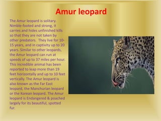 world endangered species | PPTX | Dogs | Pets