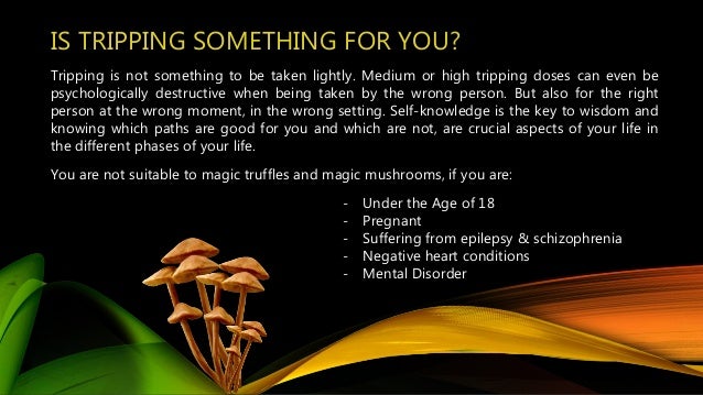 Shrooms Trip: Things to Consider for Tripping on Shrooms