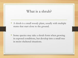 Shrub land AND ITS FEATURES | PPT