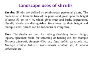 Identification of Shrubs | PPT