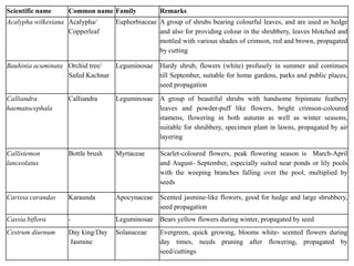 Identification of Shrubs | PPTX