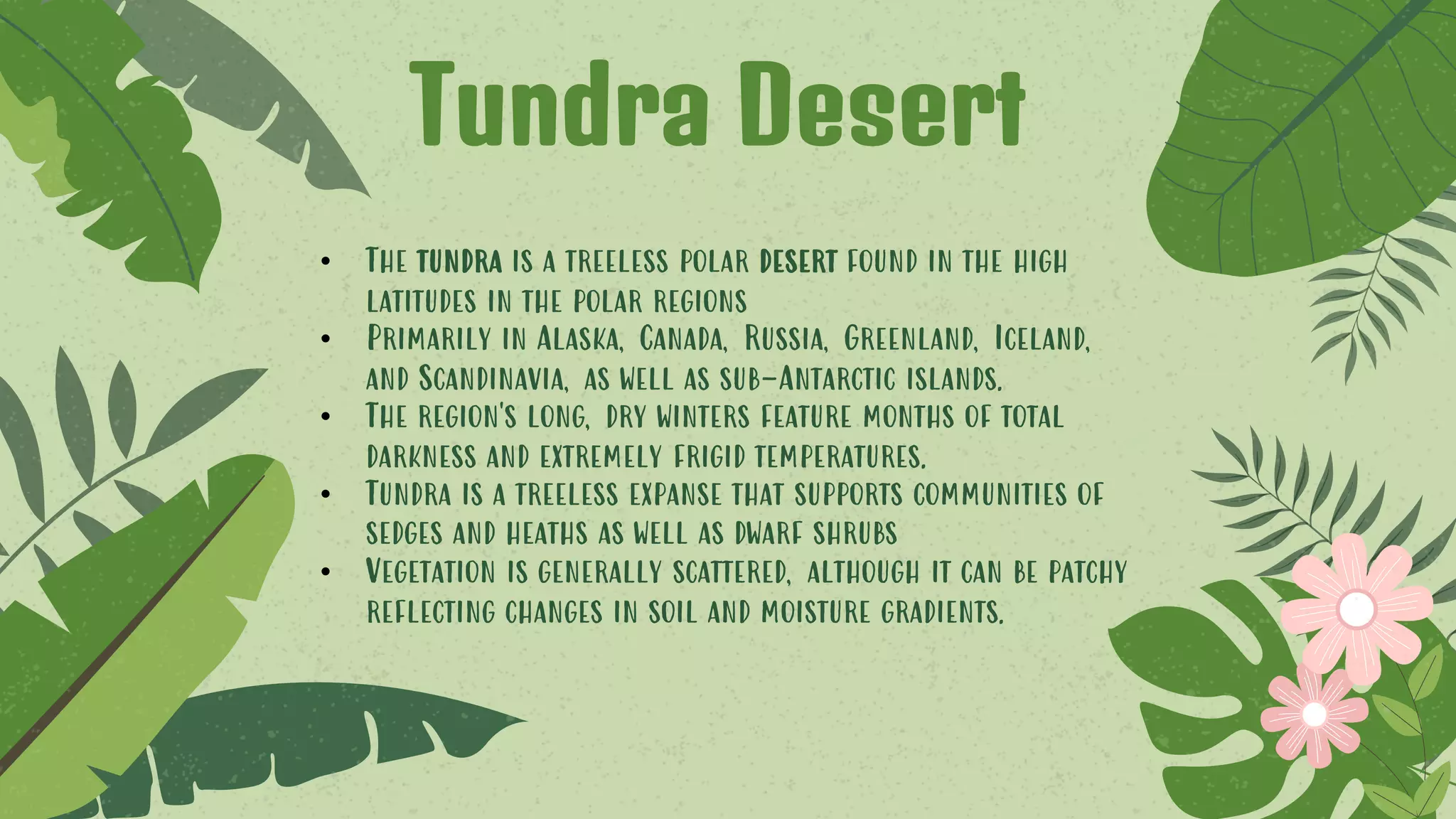SHRUBS-TUNDRA DESERT VEGETATION.pptx