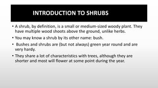 Shrubs | PPTX