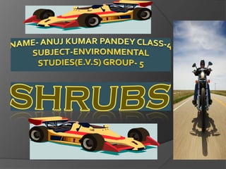 Shrubs by anuj | PPT