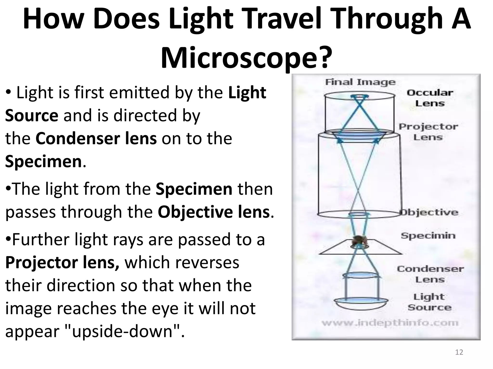 compound microscope (basic) | PPTX