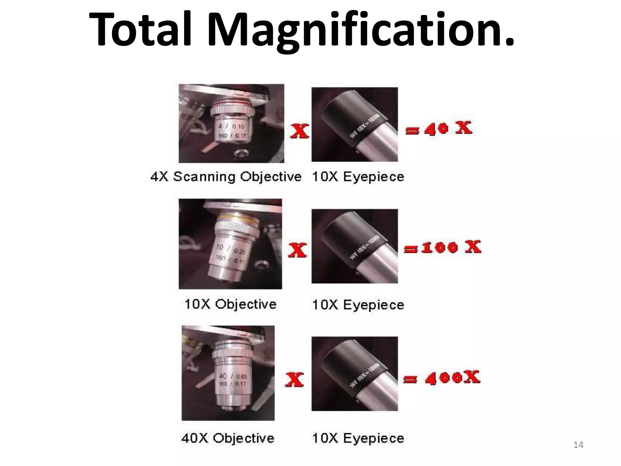 compound microscope (basic) | PPTX