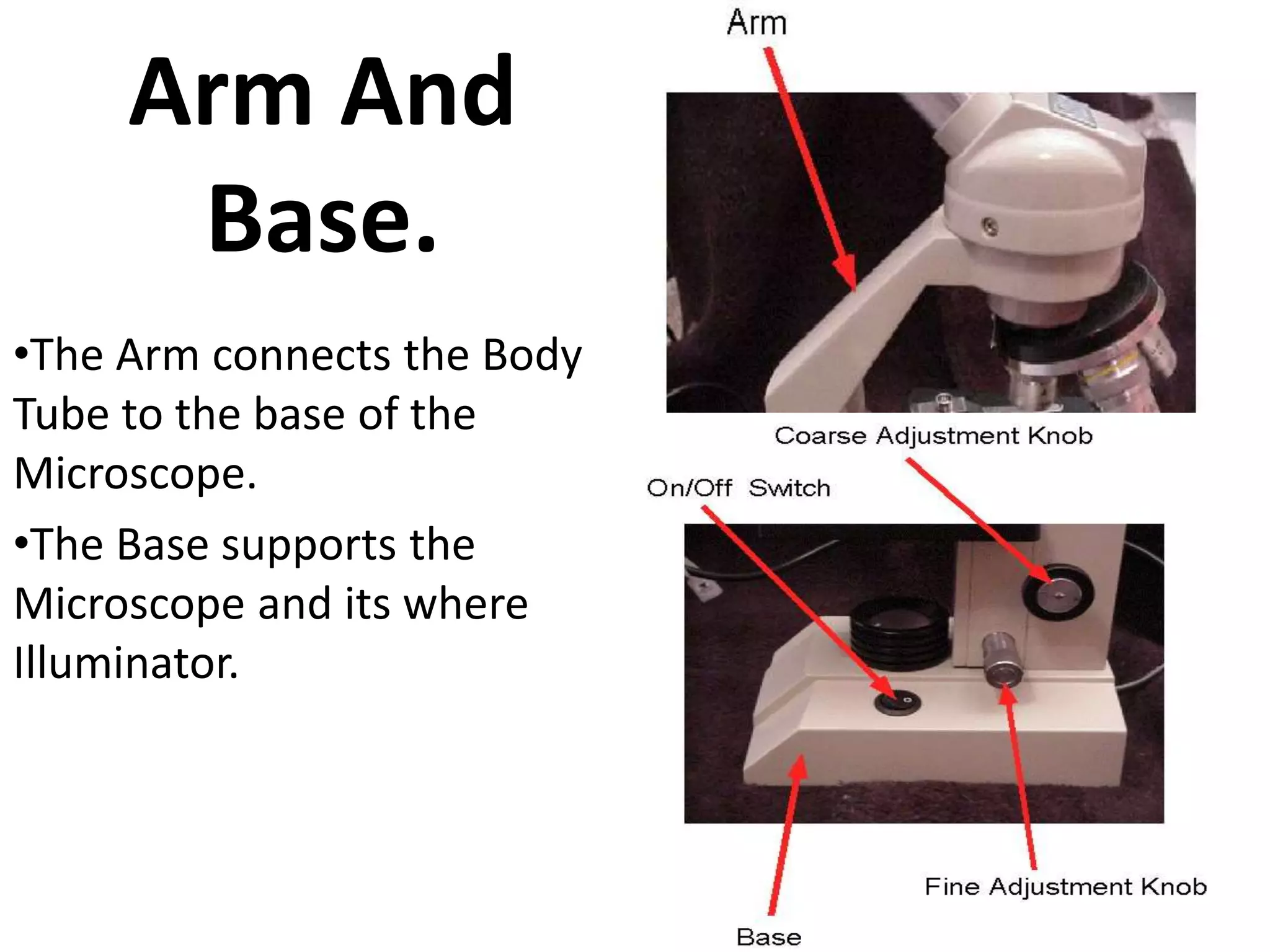 compound microscope (basic) | PPTX