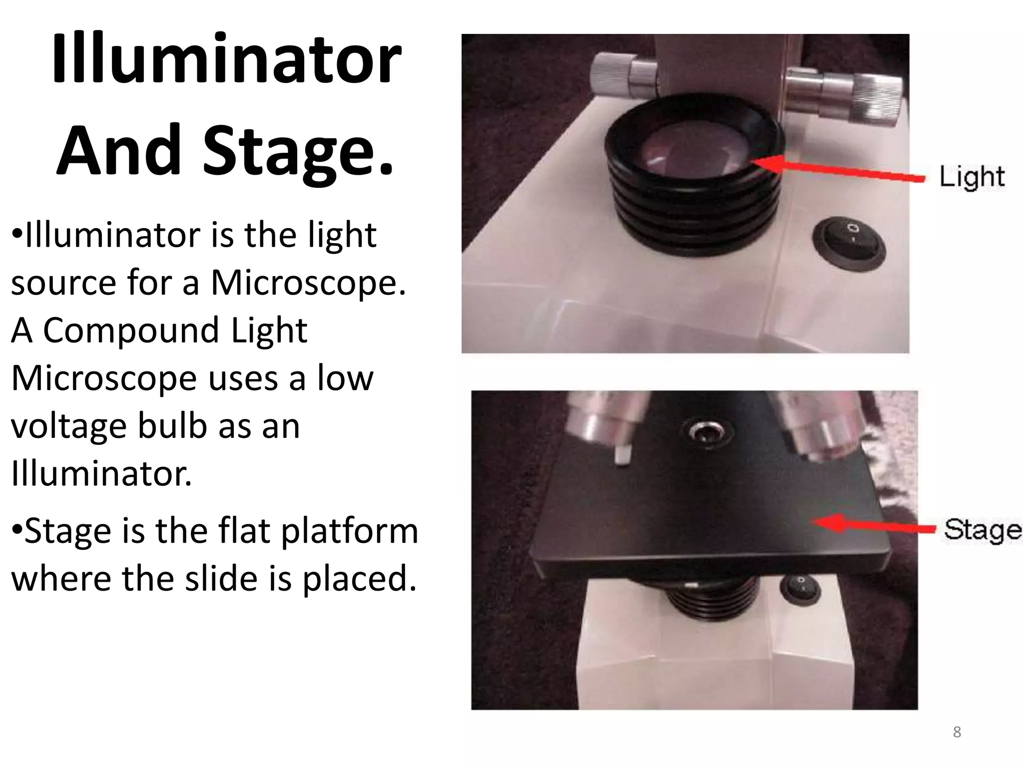 compound microscope (basic) | PPTX
