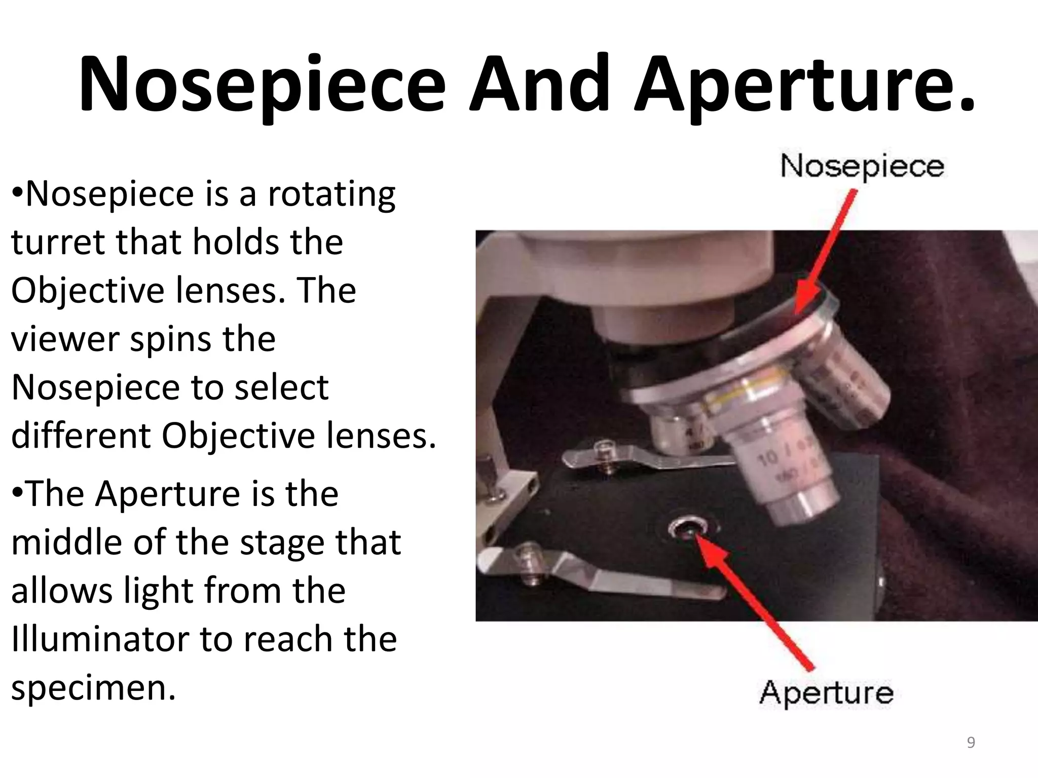 compound microscope (basic) | PPTX