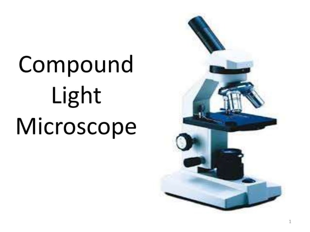 compound microscope (basic) | PPTX