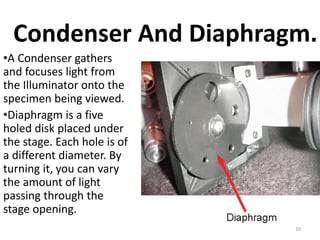compound microscope (basic) | PPTX
